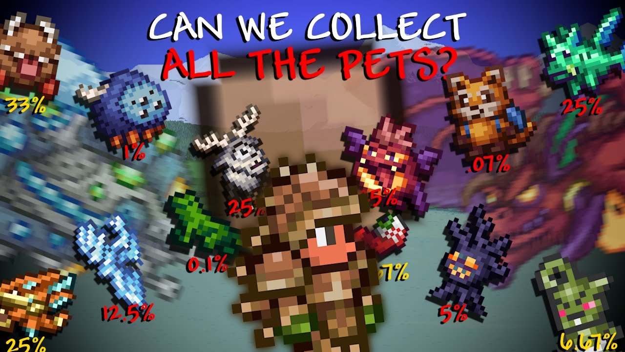 Can We Collect ALL THE PETS In TERRARIA? | PT. 2 - YouTube
