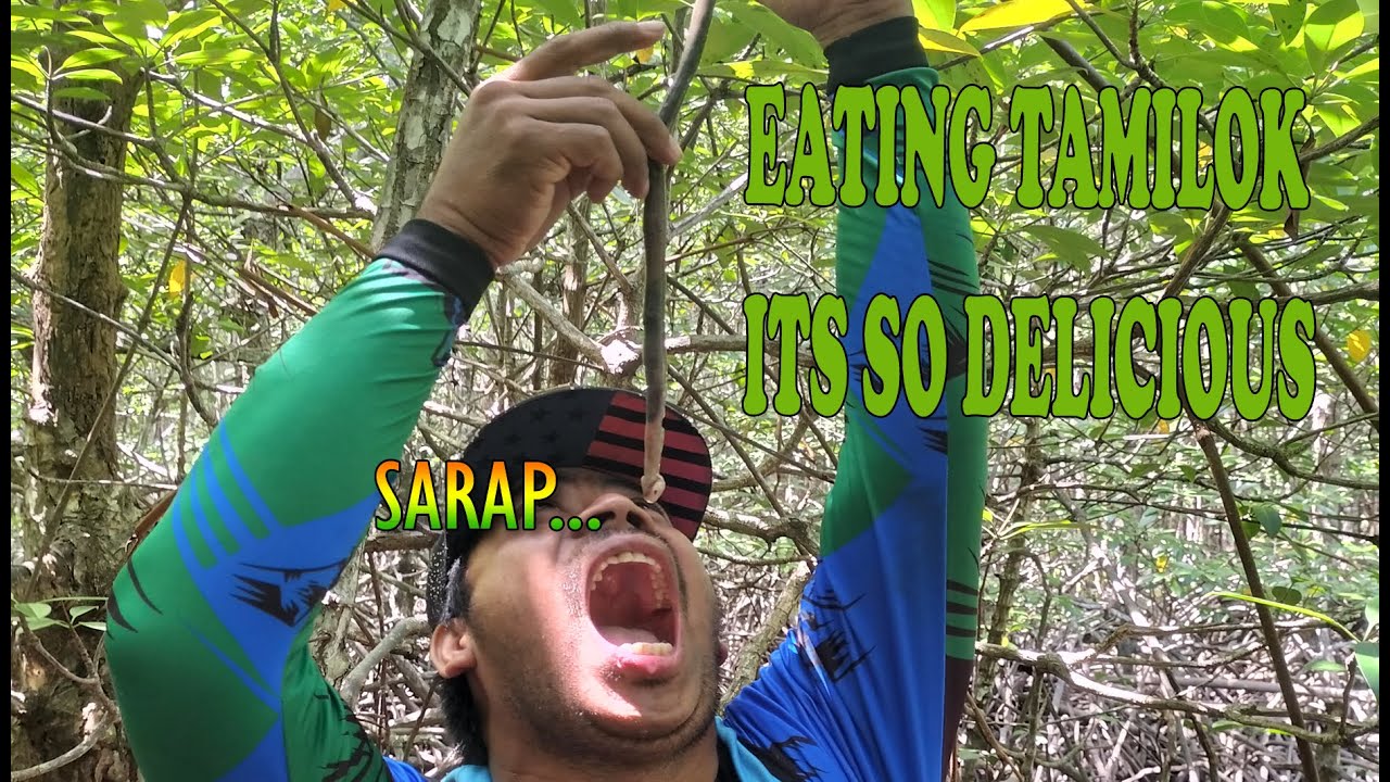EATING WOODWORM! tamilok ITS SO DELICIOUS - YouTube