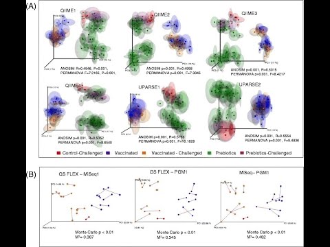 Analysis Of Similarity (ANOSIM) in R - YouTube