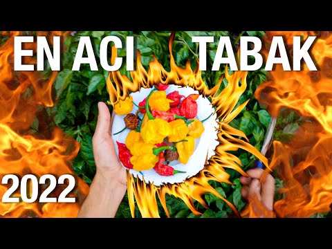 TAZE CAROLİNA REAPER HAZIR - Carolina Reaper Türkiye - DÜNYANIN EN ACI BİBERİ Carolina Reaper Tohumu