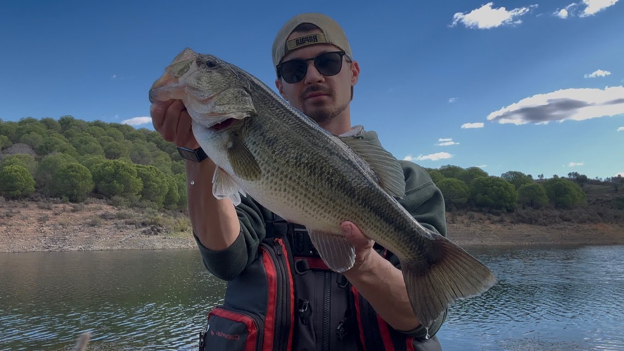 Pesca Relâmpago aos ACHIGÃS (OUTONO) 🍂 - YouTube
