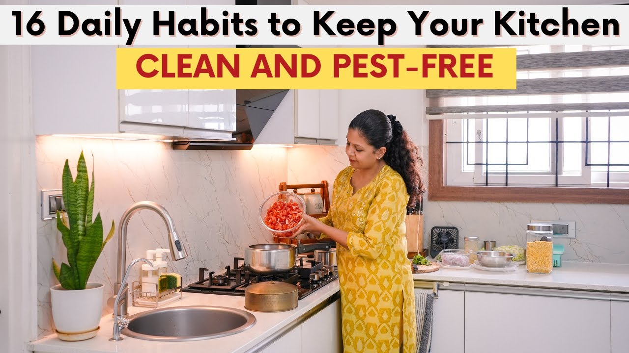 16 Daily Habits to Keep Your Kitchen Clean & Pest Free | Best Way to ...