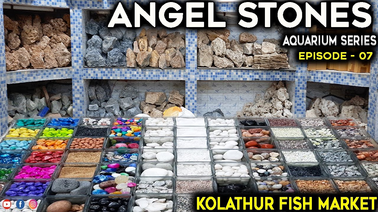 Kolathur Fish Market Aquarium Rocks/Stones | ANGEL STONES SHOP ...