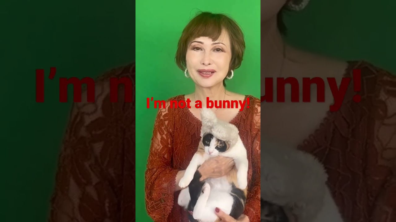 I’m not a bunny! - YouTube