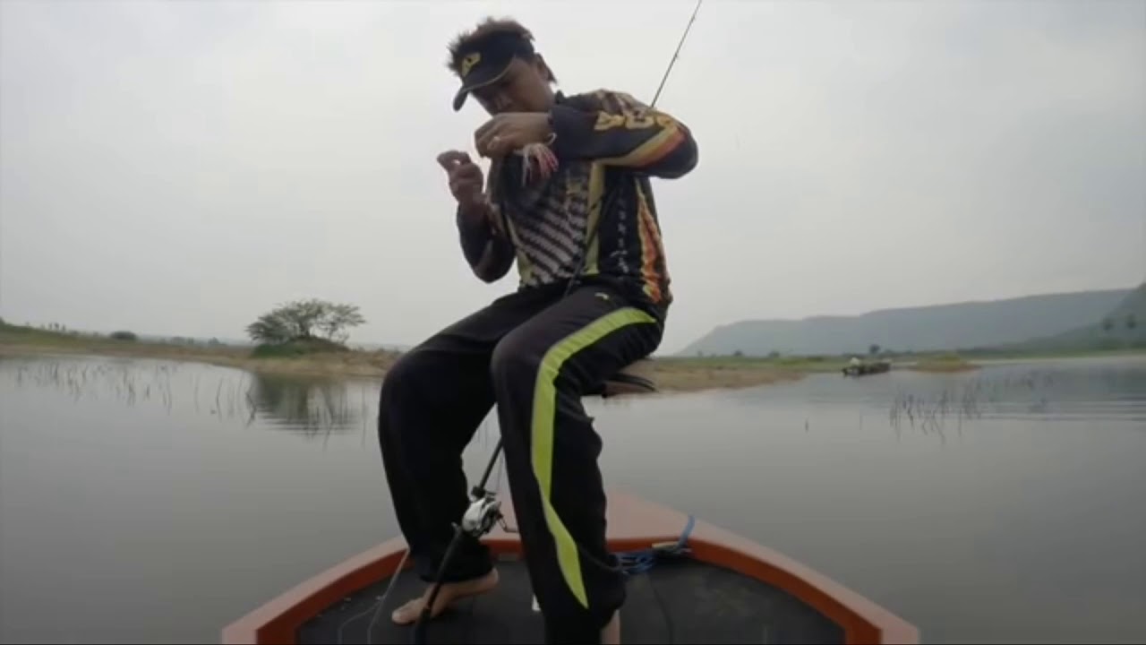 Mancing toman - YouTube