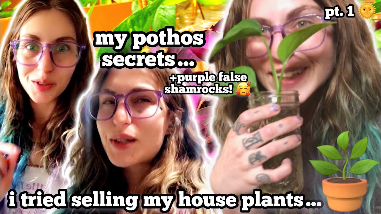 20 mins of being excited about House Plant Cultivation 🪴 - YouTube
