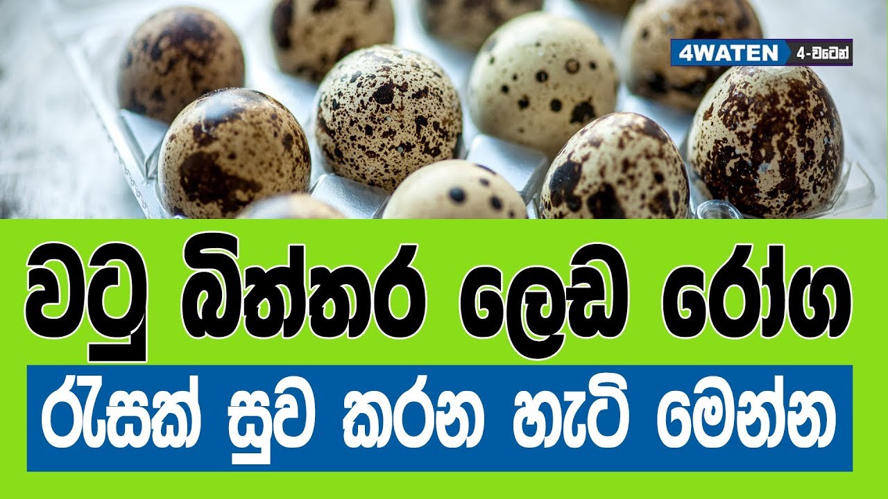 වටු බිත්තර ලෙඩ රෝග රැසකට ගුණ දෙන හැටි මෙන්න : Here are the amazing ...