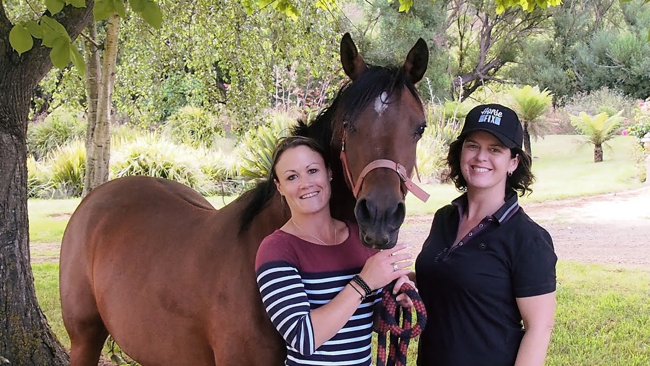 Cienna's story - equine shoulder dislocation - YouTube