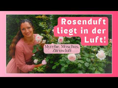 Düfte erleben | Mit allen Sinnen durch den Rosengarten