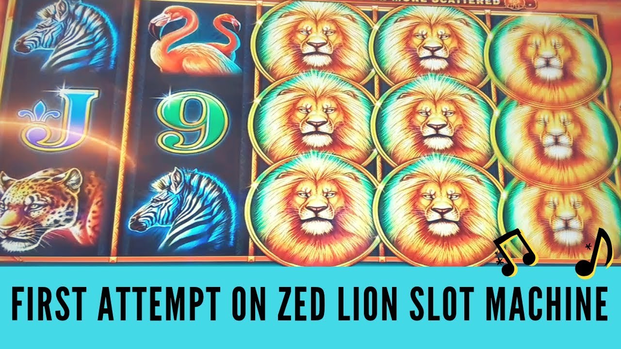 FIRST ATTEMPT ON ZED LION SLOT MACHINE - AINSWORTH GAME - SunFlower ...