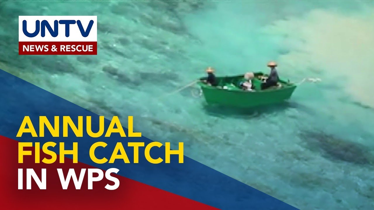 324,000 metric tons of fish can be produced in WPS annually — BFAR ...