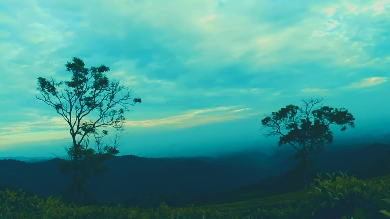 Explore pekalongan || kebun teh jolotigo talun - YouTube