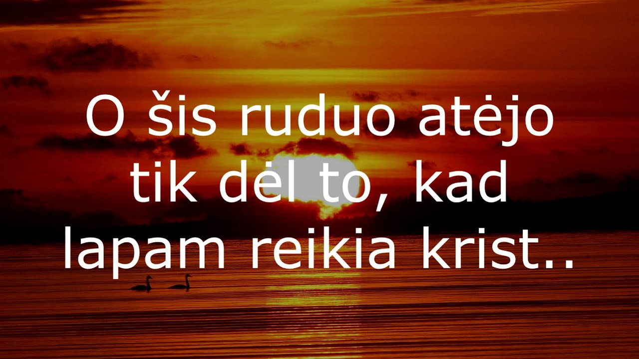 Delfinai - Saulė ( žodziai ) - YouTube