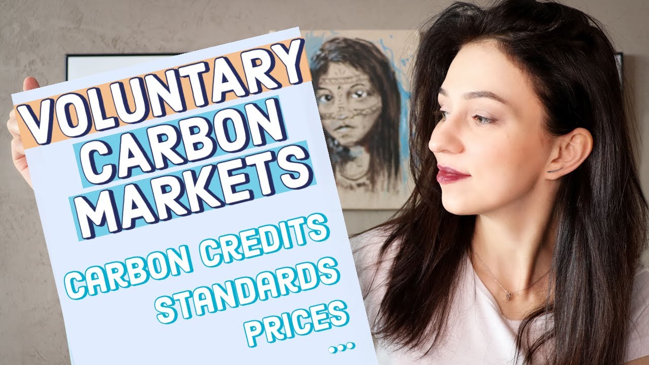 Voluntary carbon markets: Carbon credits, Offset Standards ...