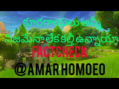 viral video factcheck - YouTube