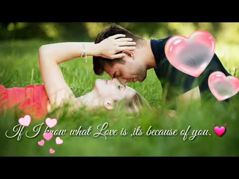 Feb 14 - Valentine's Day | WhatsApp status Video | Daily Status | Romantic Status | Valentine Week