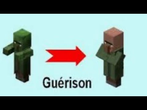 Minecraft-comment transformer un zombie villageois en villageois ...