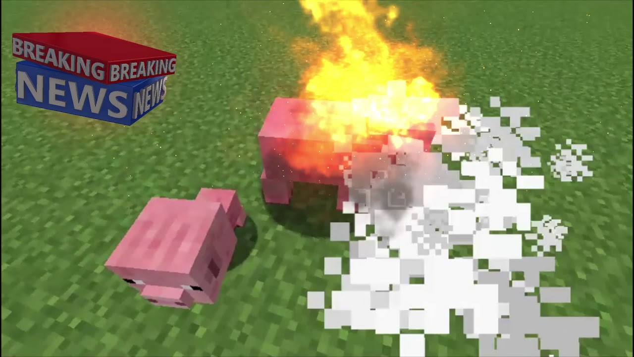 Man explodes pigs for 30 seconds | DN33 - YouTube