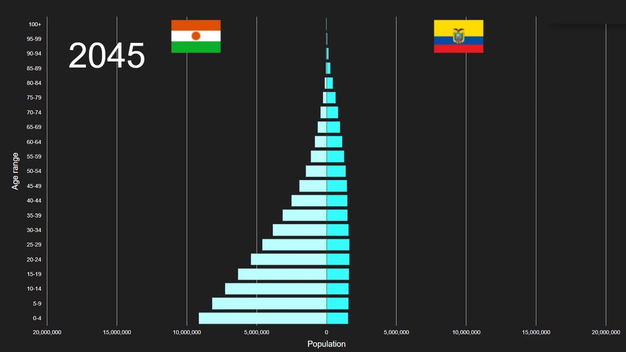 Niger vs Ecuador Population Pyramid 1950 to 2100 - YouTube