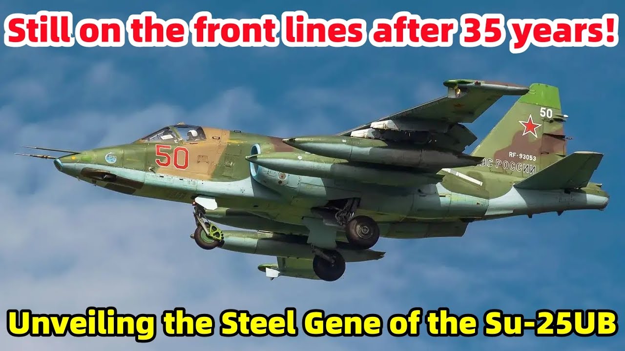 Still in action after 35 years! Unveiling the steel genes of the Su ...
