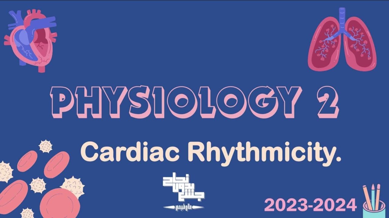 Cardiac Rhythmicity, physiology,lec5 (part1) - YouTube