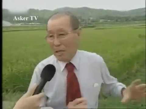 Kore Savaşı ve Türk Askerleri