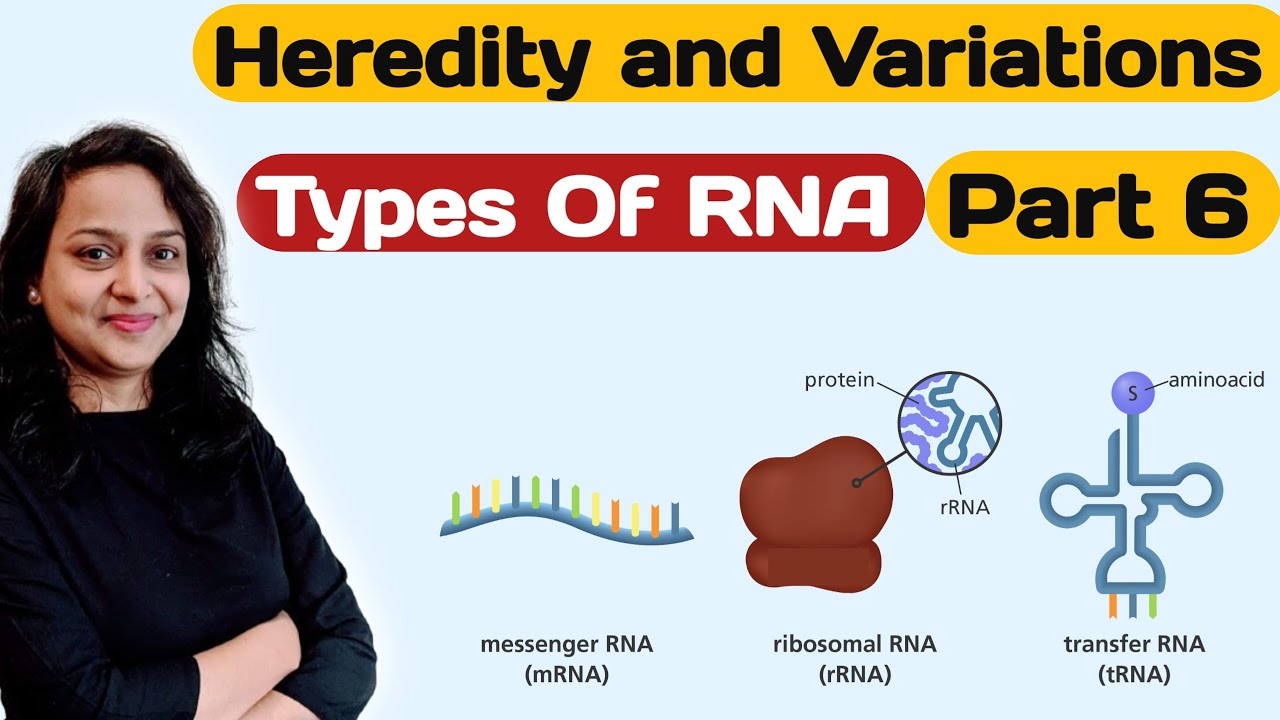 Heredity and Variations | Class 9 | Part 6 | Types of RNA - YouTube