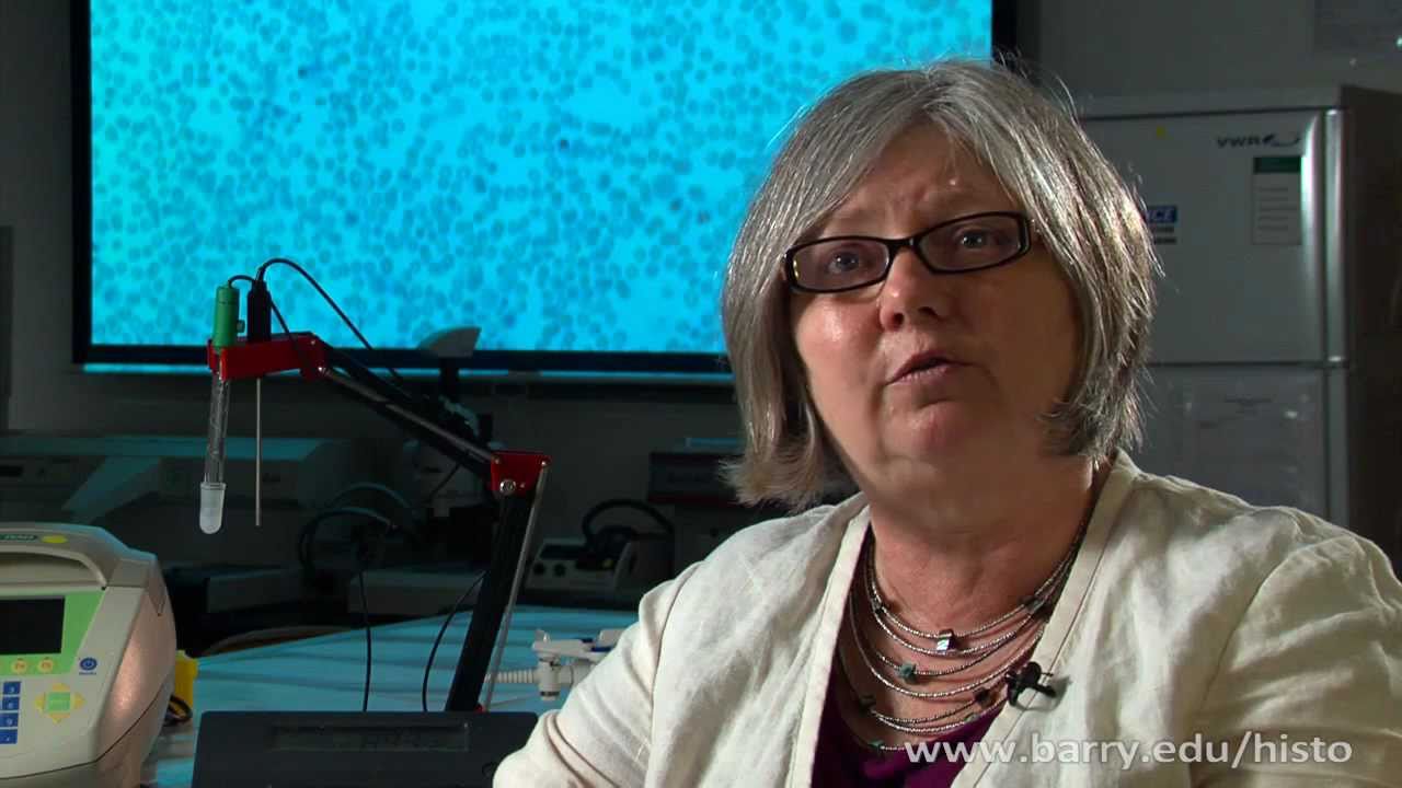 Histotechnology Program Overview - YouTube
