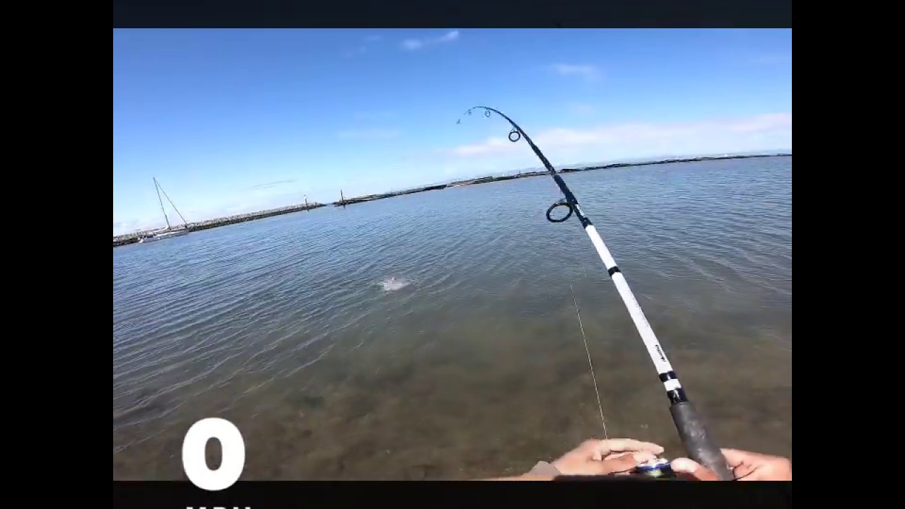 Fishing For Striped Bass At Coyote Point San Mateo County - YouTube