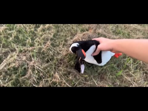 The Pills || Full Movie || Live Action Skit - YouTube