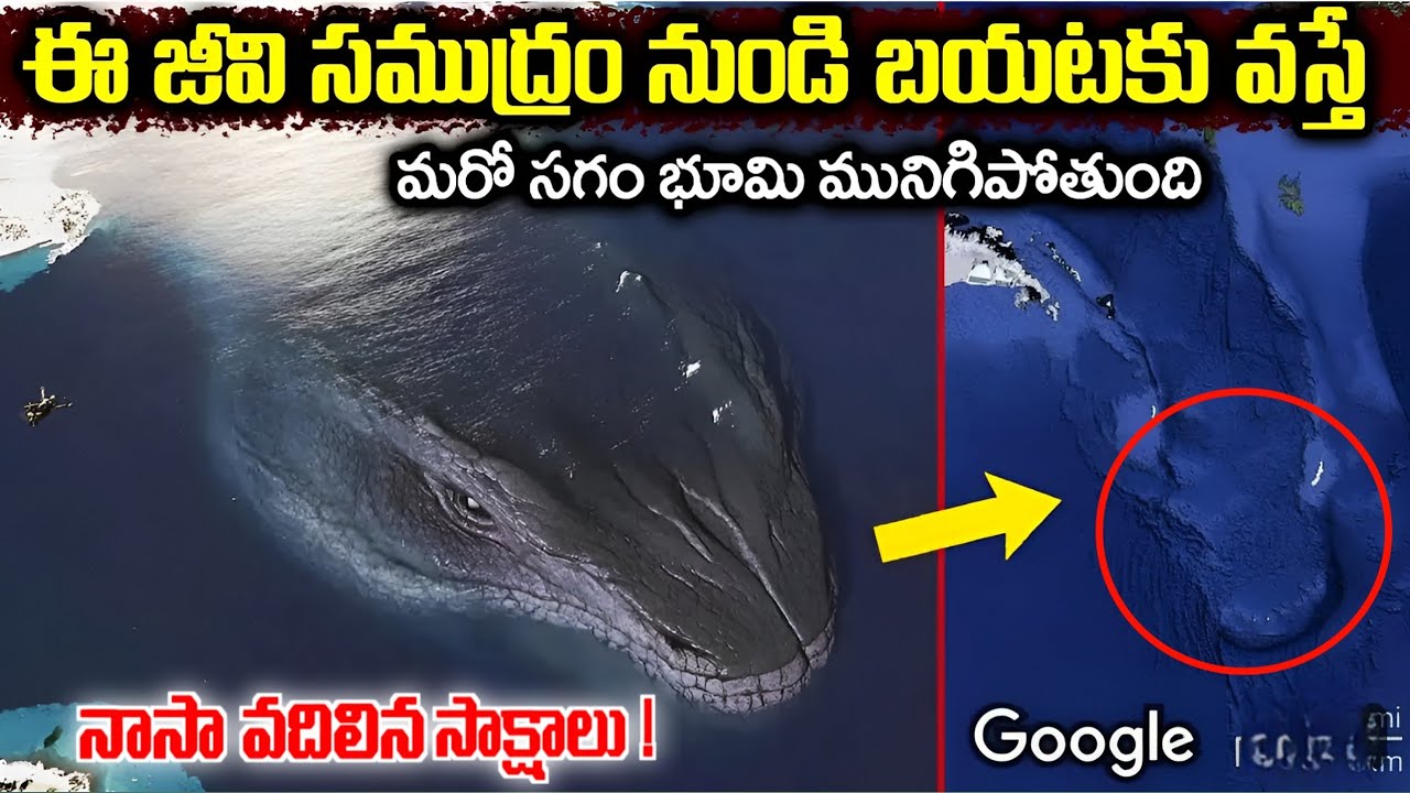 🚨Leviathan Snake Ocean Creature Really Alive? |2025 Viral Video |Latest ...
