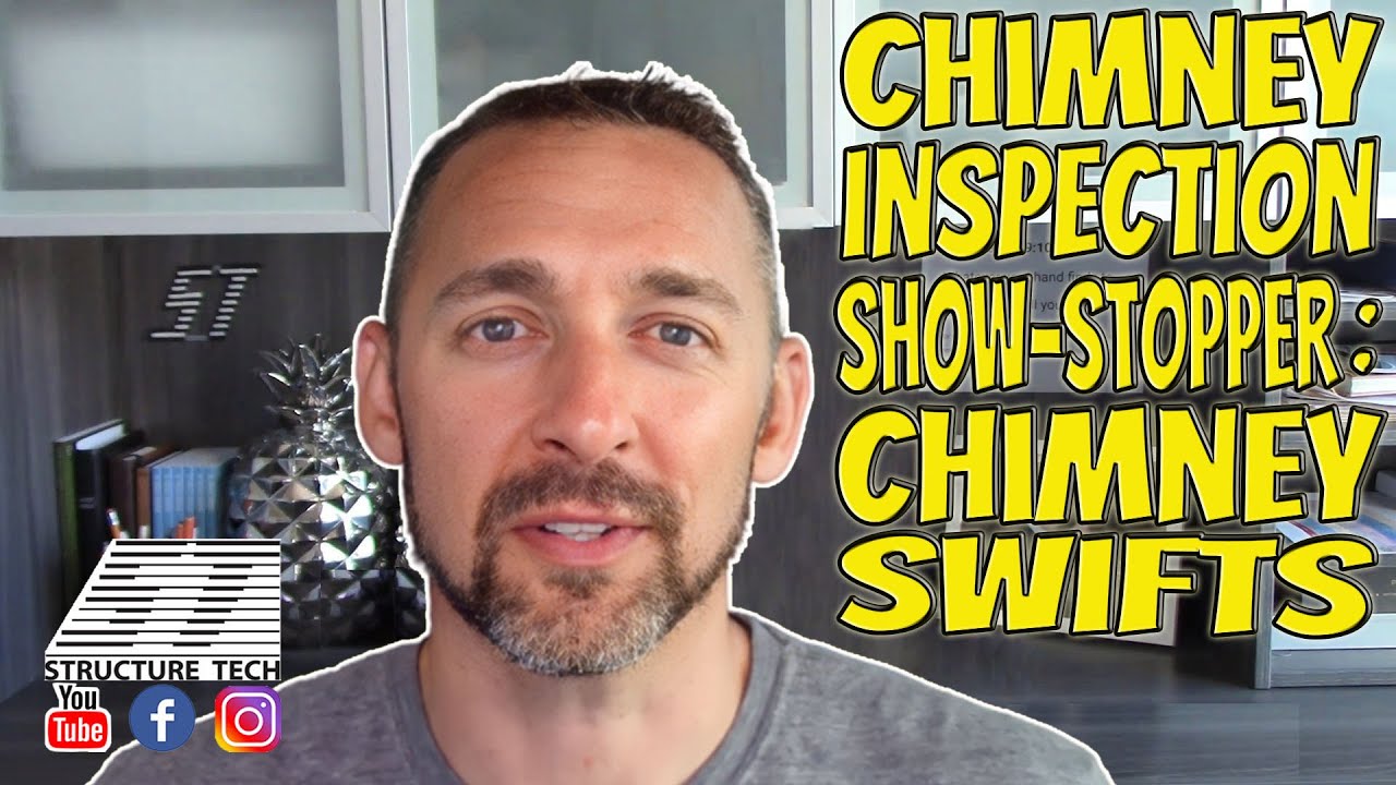 Chimney inspection show-stopper: chimney swifts - YouTube
