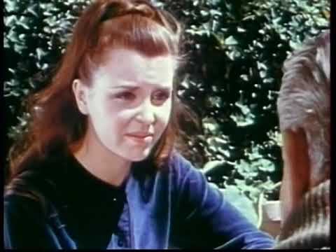 In the Year 2889 (1967) Horror, Sci Fi, TV Movie | Paul Petersen, Quinn O'Hara, Charla Doherty