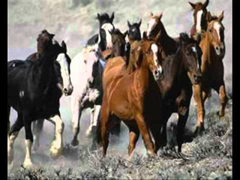 Corrido del Chemel