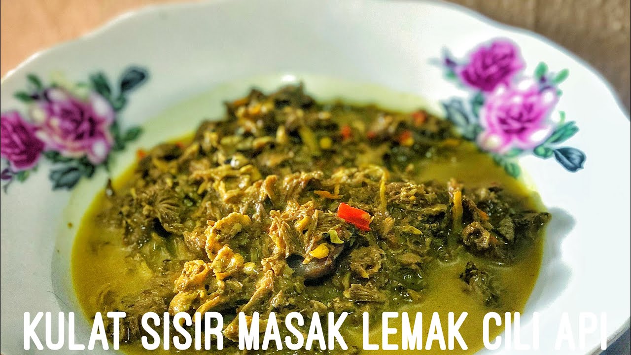 Kulat Sisir Masak Lemak Cili Api (Wild Mushroom with Spicy Coconut ...