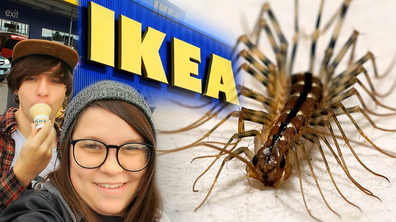 Satan Bugs and IKEA - YouTube