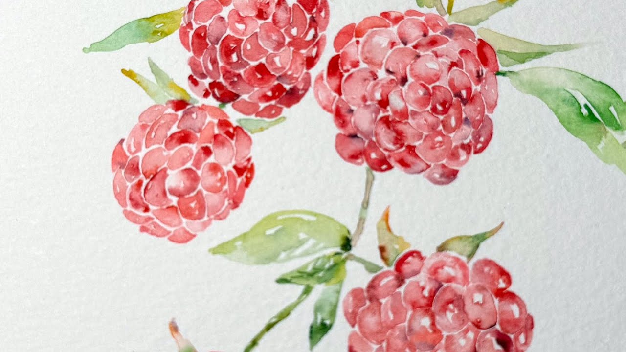 Red Raspberry Watercolor Study - YouTube