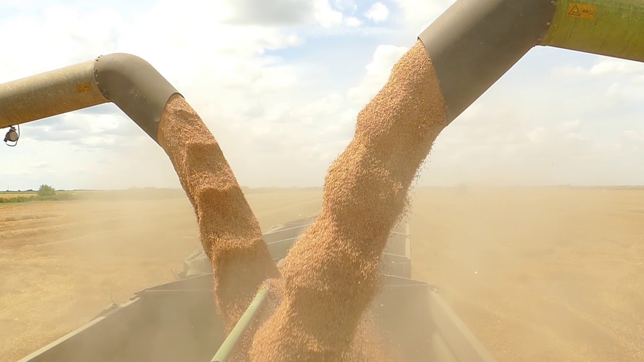 Farë Gruri - YouTube