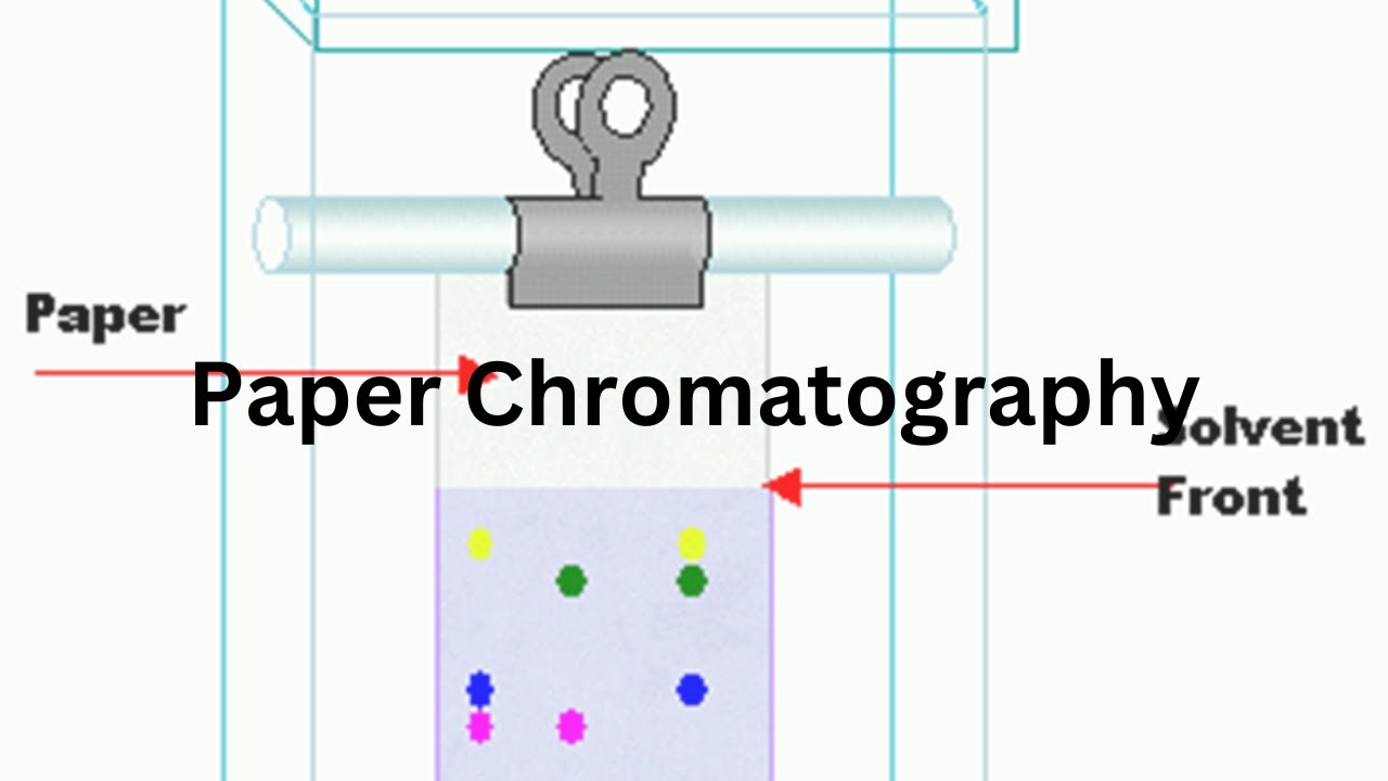 Separation of plant pigments using paper chromatography #chromatography ...