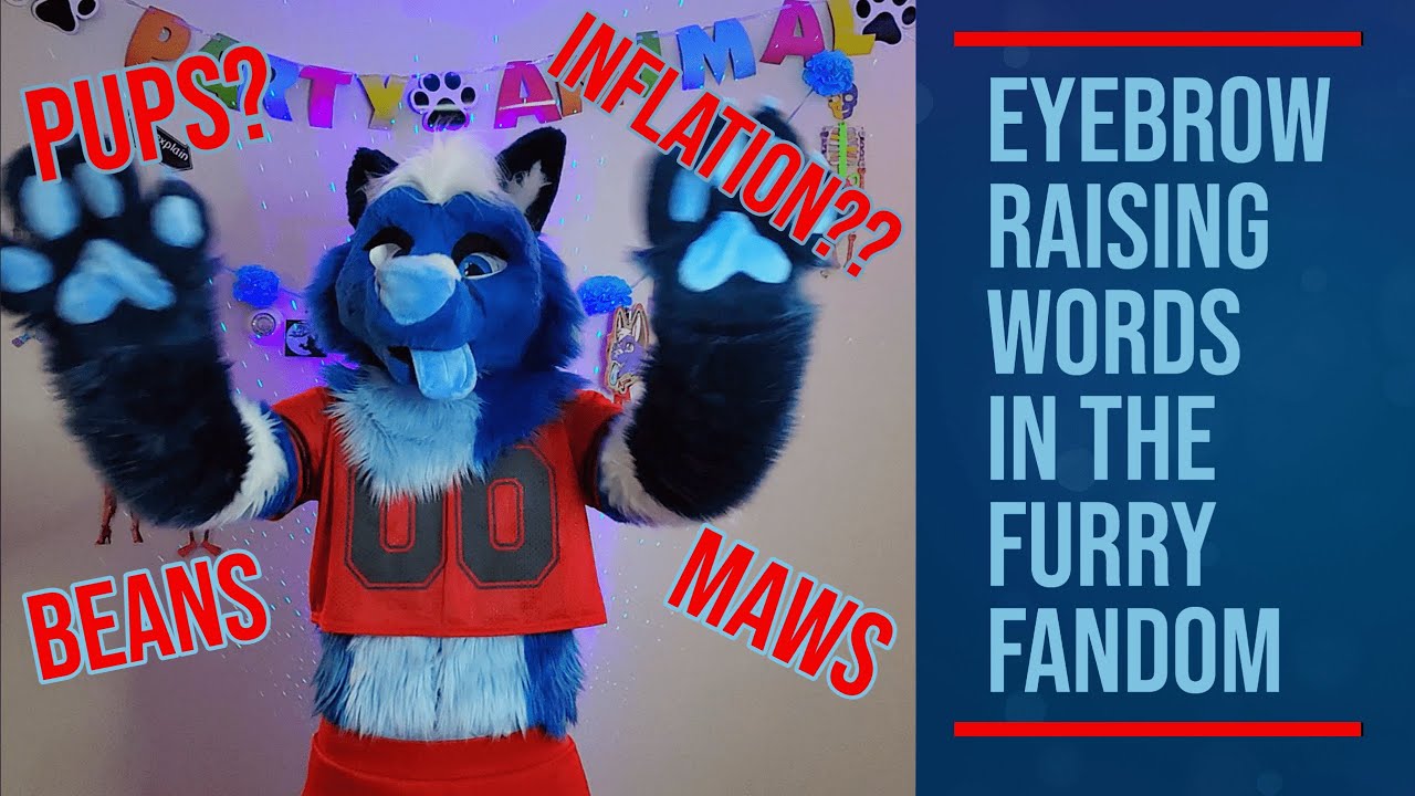 Eyebrow Raising Things Furries know - YouTube