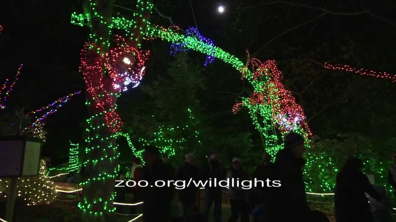 Wildlights 2013 at Woodland Park Zoo Seattle - YouTube