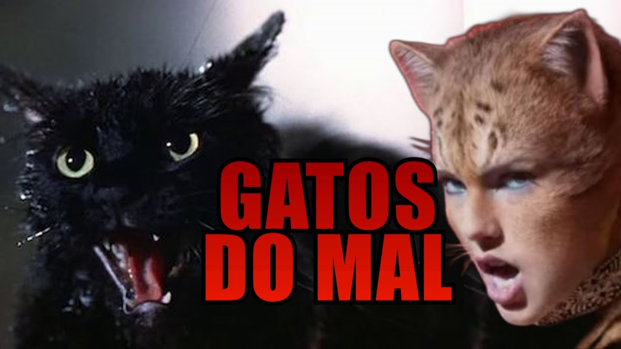 PORQUE GATOS SÃO DO DIABO - YouTube