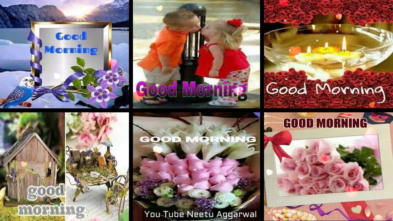 🌺Good Morning Wishes,Good Morning Greetings,Wallpapers,E-card,Good ...