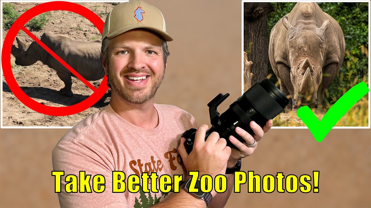 11 Secrets to Stunning Zoo Photography - YouTube
