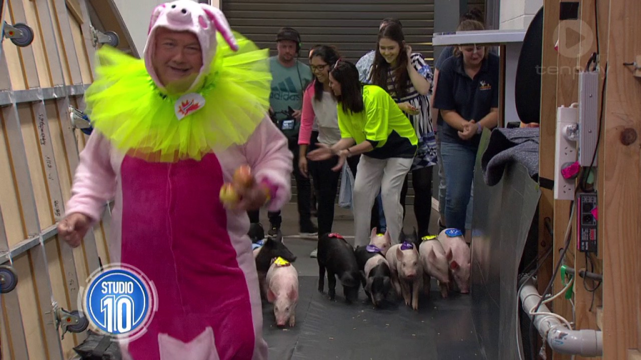 Studio 10's Piglet Race - YouTube