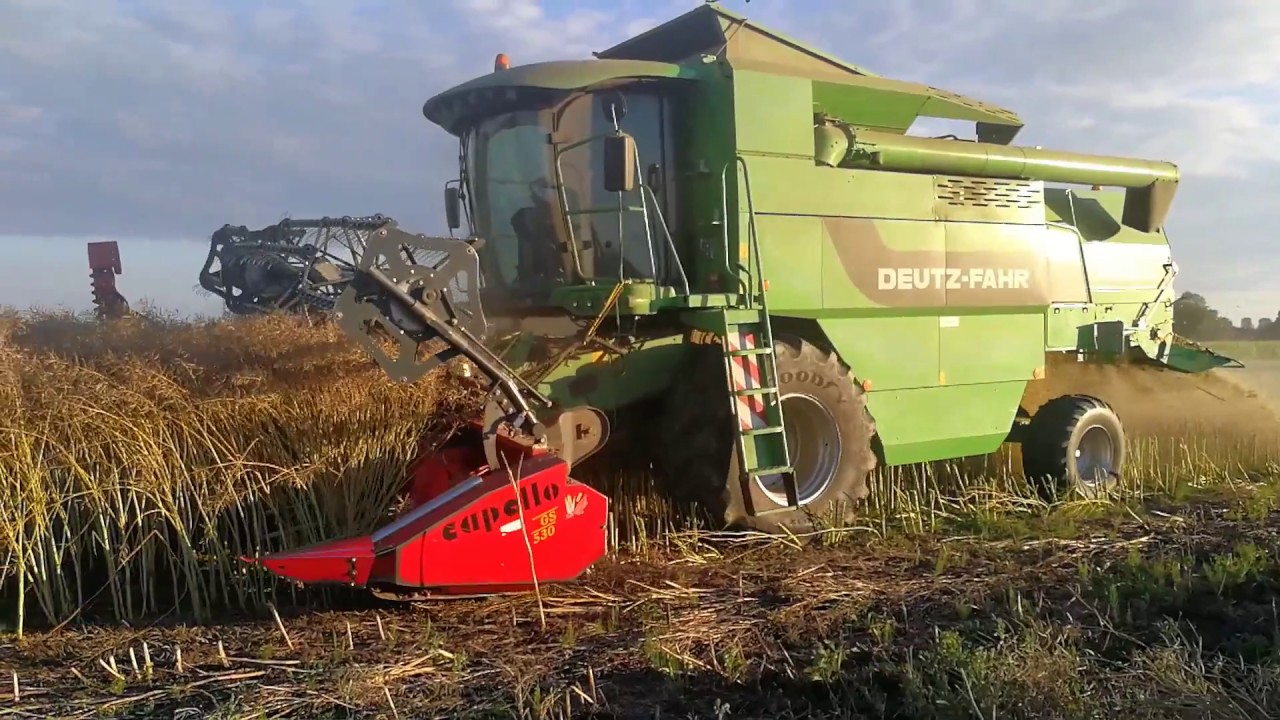 Rapsernte mit Deutz Fahr 5690 hts - YouTube