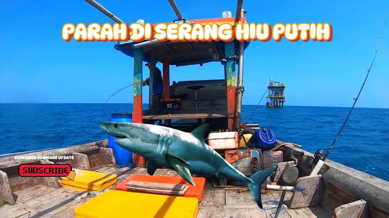 Mancing Ikan Dasaran Di Laut Di Serang Hiu Putih - Mancing Postfour ...