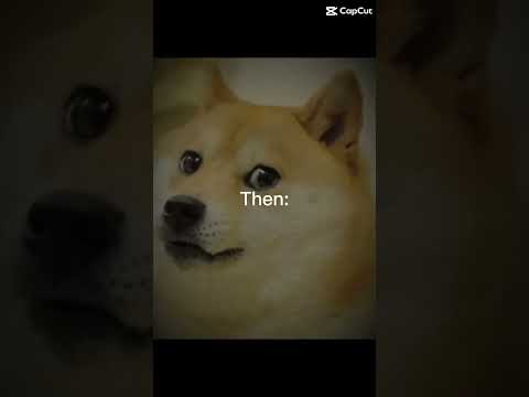 2026 MEME RESET #memes #2026