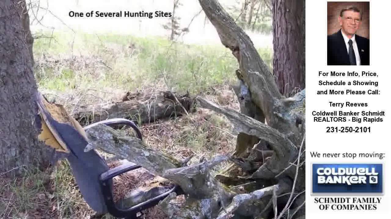 10529 South River Rd, Evart, MI Presented by Terry Reeves. - YouTube