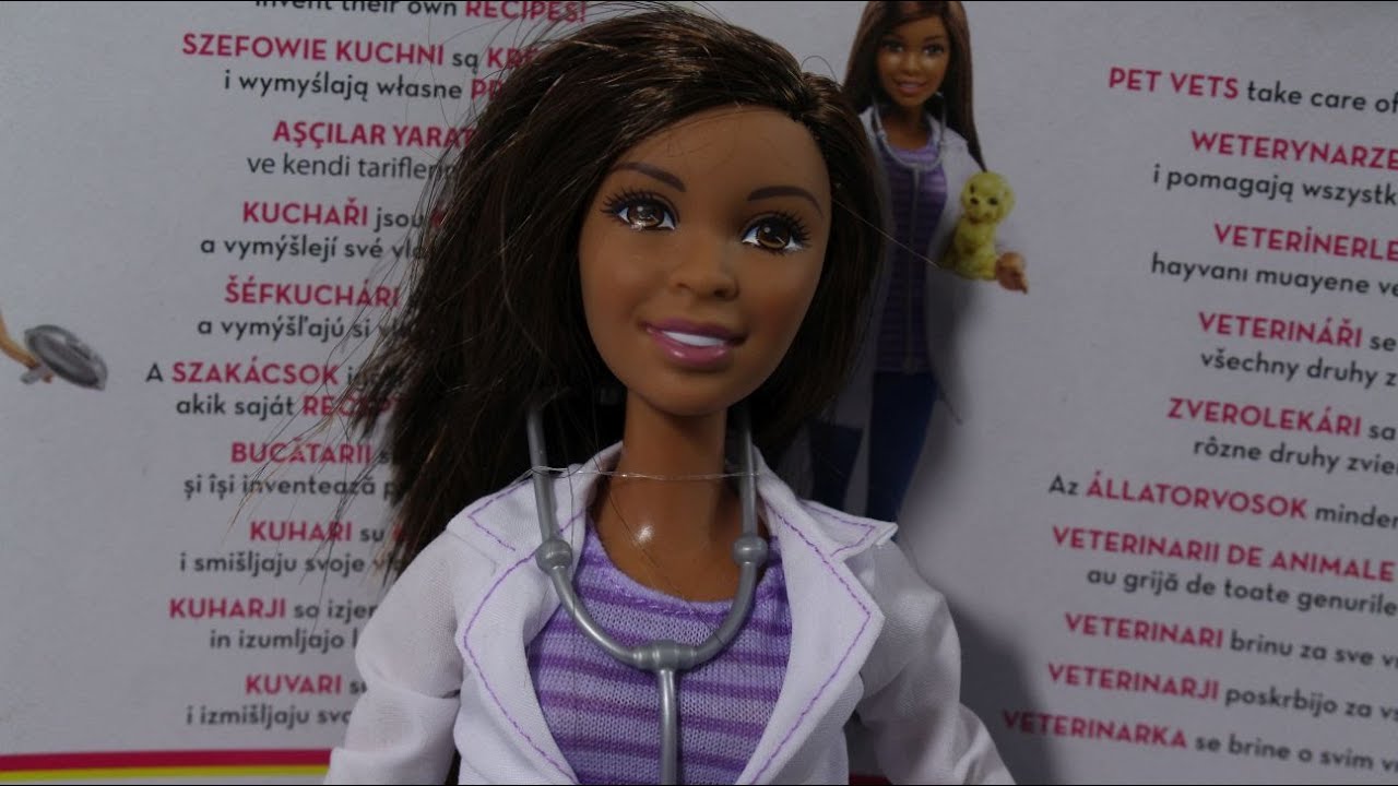 Barbie Careers - Pet Vet Doll - Talk about the Rescued Dog - DHB19 ...